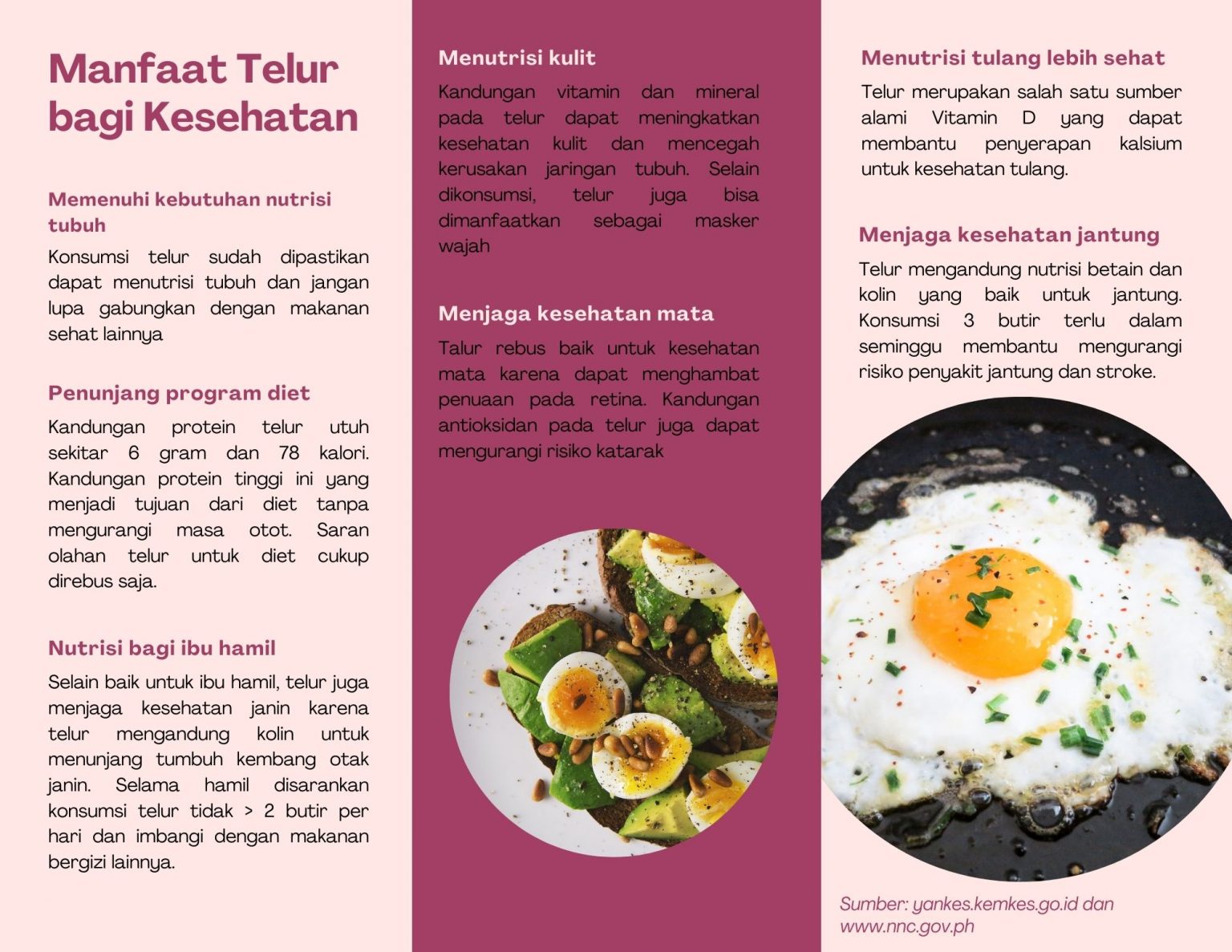 Olahan Telur Agar Tidak Bosan - Artikel Tips Belanja Hemat