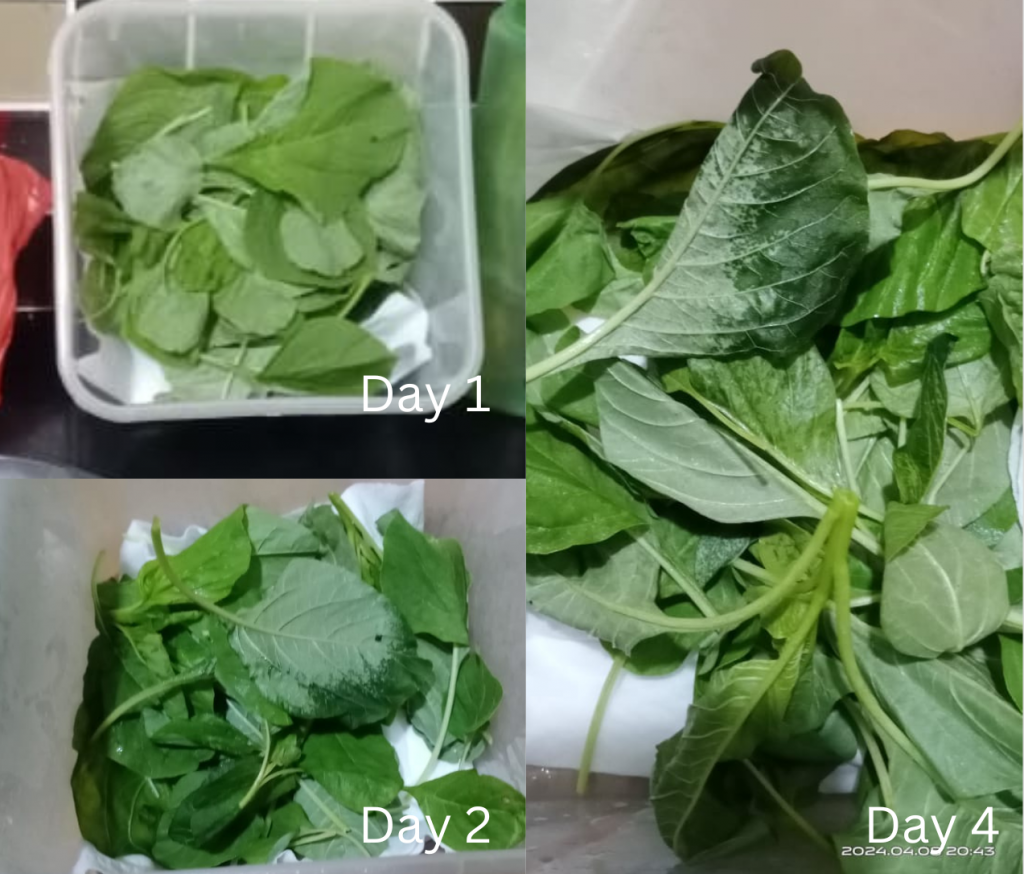 Tips Menyimpan Sayur Bayam Sebelum dan Setelah Dimasak - Artikel Tips ...